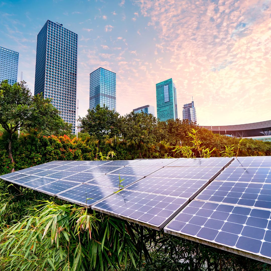 How Solar Power Is Helping Businesses Go Green - Contact Us!