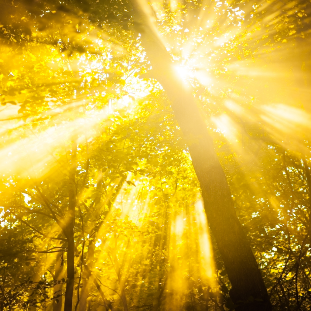 The Advantages of Going Solar: A Northern California Perspective - News ...