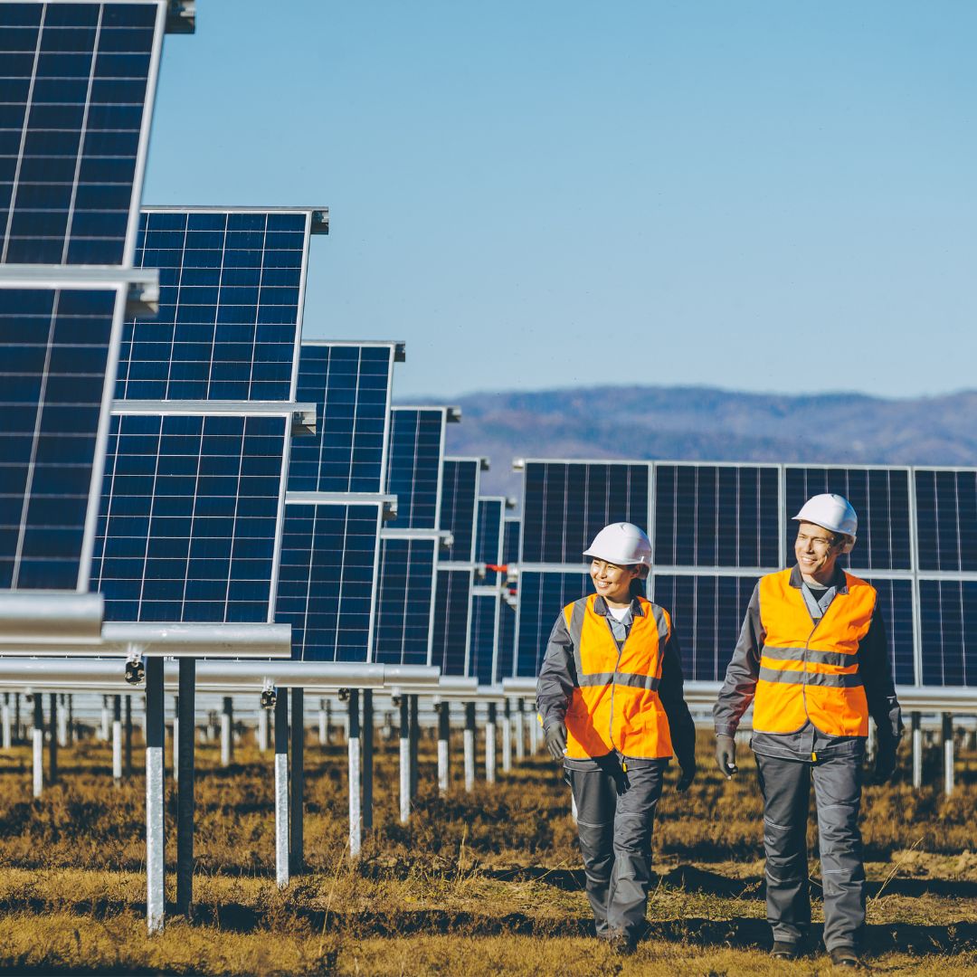 The Ultimate Guide to Our Solar Panel Services - West Coast Solar